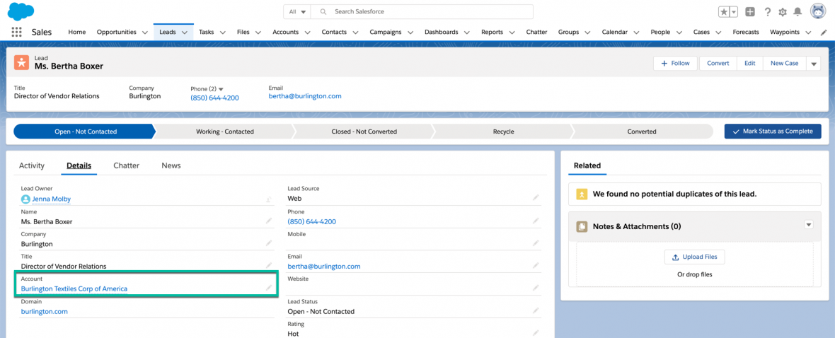How to Setup Lead to Account Matching in Salesforce
